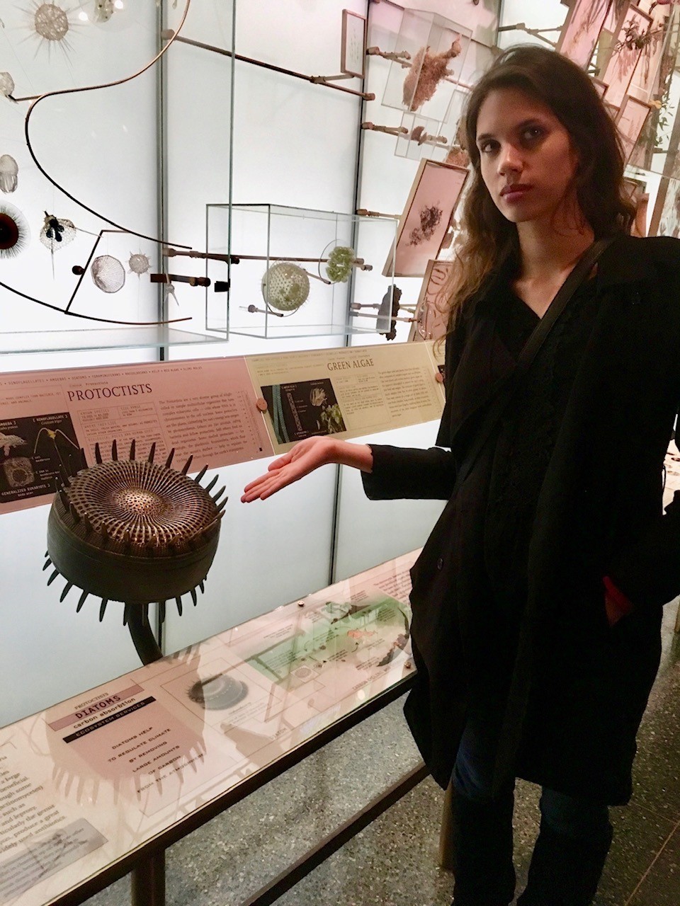 Image Isabelle_Atchia.jpg | Species - Diatoms of North America