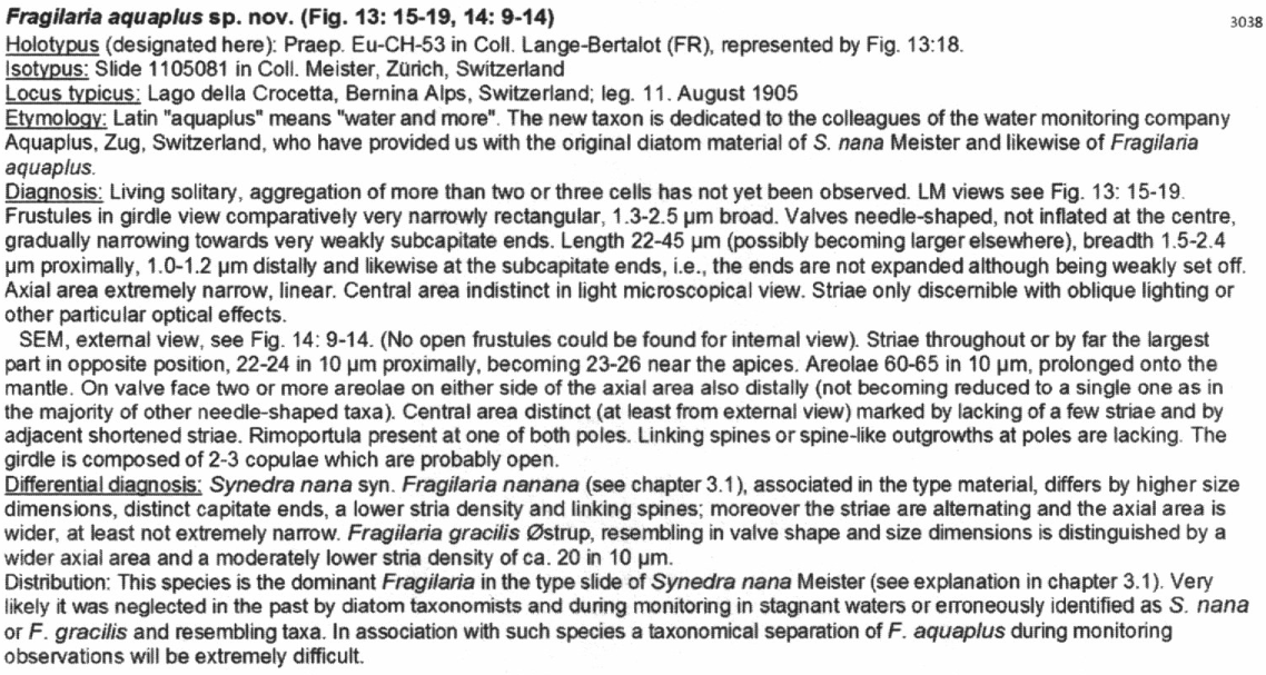 Image Fragilaria-aquaplus-orig-desc.png | Species - Diatoms of North ...